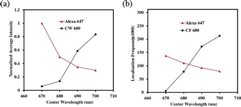 A Normalized Average Intensity Of Localized Molecules Measured
