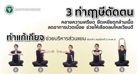 สมุนไพร ฤาษีดัดตน ลดเมื่อยล้าเดินทางไกล The Bangkok Insight