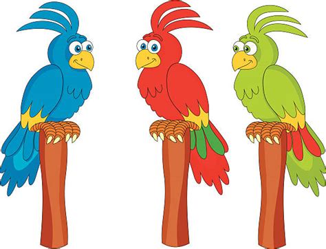 Royalty Free Cockatoo Clip Art Vector Images And Illustrations Istock