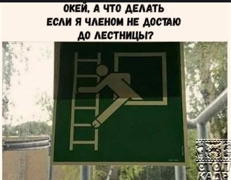 Эвакуационный выход типичного пикабушника для обычных людей непригоден