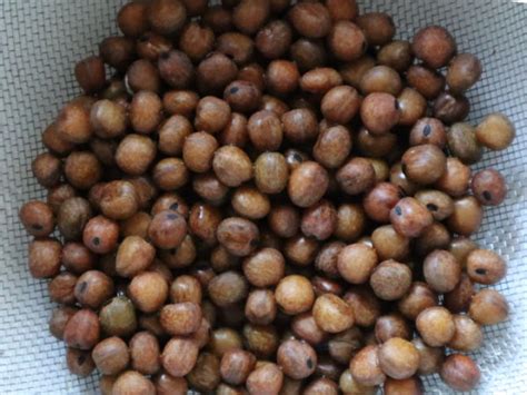 赤えんどう豆の茹で方 【organic Recipe｜オーガニックレシピ】