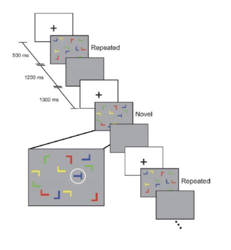 Lecture 12 Memory Systems Flashcards Quizlet