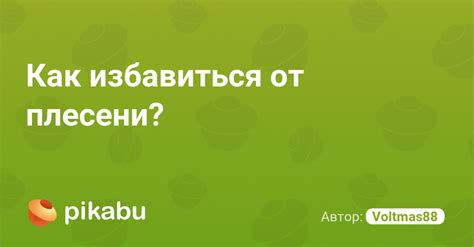 Как избавиться от плесени Пикабу