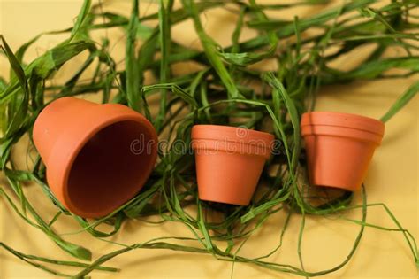 Very Small Clay Pots Lie In Different Ways On A Bed Of Green Bast Stock Image Image Of
