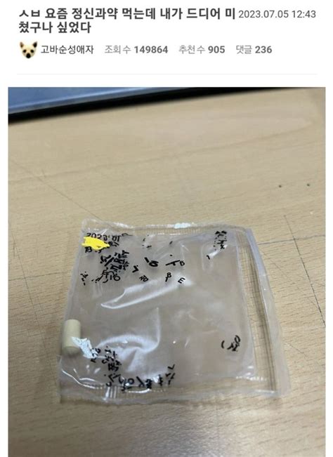 웃긴 밈 재미있는 문구 재미있는 것들