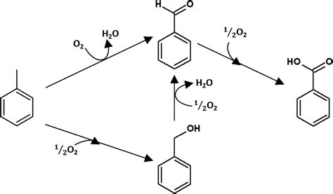 Reaction Scheme Of The Oxidation Of Toluene Download Scientific Diagram
