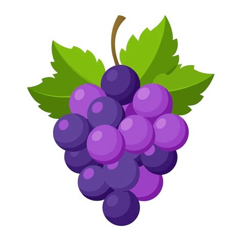 Una Imagen De Un Racimo De Uvas Con Hojas Verdes Vector Premium