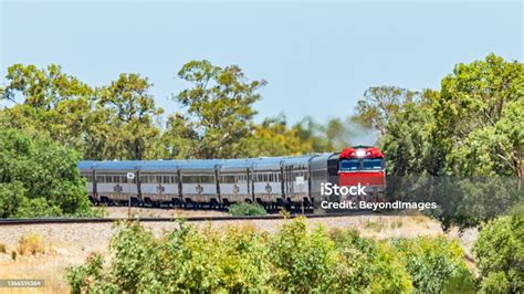 호주 오버랜드 럭셔리 여객 열차는 여름 더위 속에서 속도로 곡선을 둥글게 합니다 기차에 대한 스톡 사진 및 기타 이미지 기차