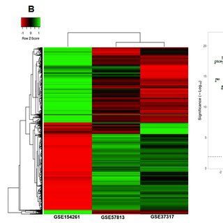 Identification Of Differentially Expressed Genes DEGs Between 3