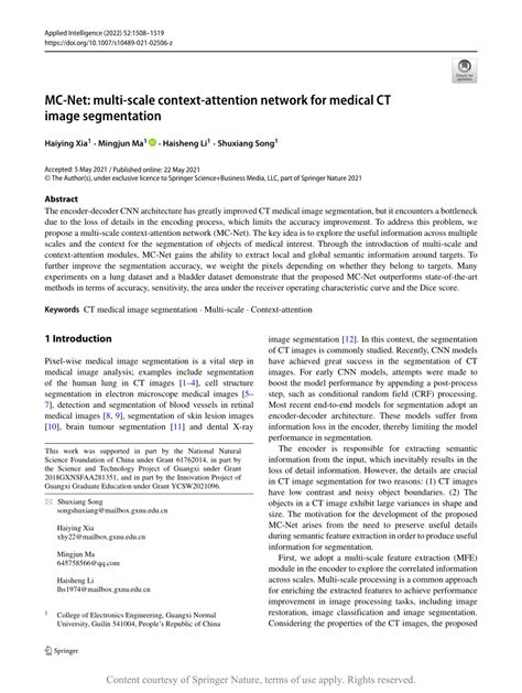 Mc Net Multi Scale Context Attention Network For Medical Ct Image