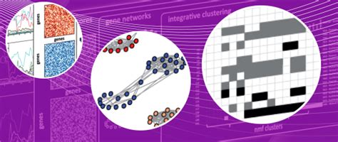 Integrative Clustering By Non Negative Matrix Factorization Can Reveal