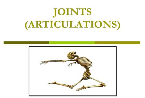 Human Anatomy Classification Of Joint 1ppt