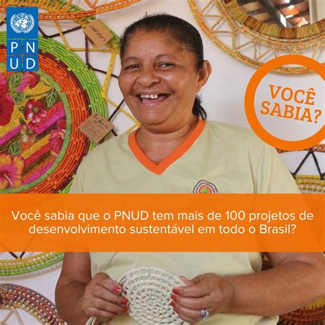 🌍 O Pnud Atua Globalmente Com A Missão De Erradicar A Pobreza E