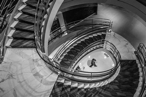 Inside Art With Kay Larson Lions Roar