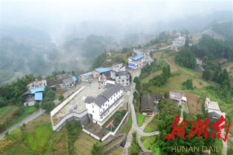 走向胜利·决战决胜乡村述说丨“逮”住百合，人均8千块 湘西 新湖南
