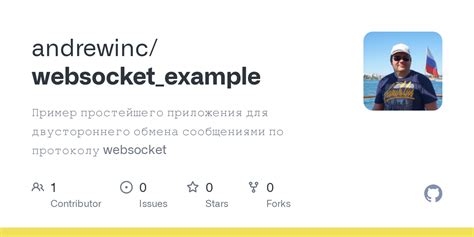 GitHub andrewinc websocket example Пример простейшего приложения для двустороннего обмена