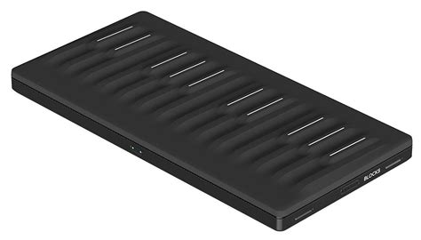 Roli Seaboard Block At Mighty Ape Australia