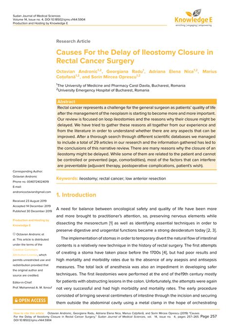 Pdf Causes For The Delay Of Ileostomy Closure In Rectal Cancer Surgery