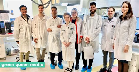 Is Plant Based Fish Made From Food Industry By Products The Future Of