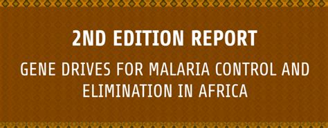 World Malaria Report 2024 Accelerating Progress And Preserving The
