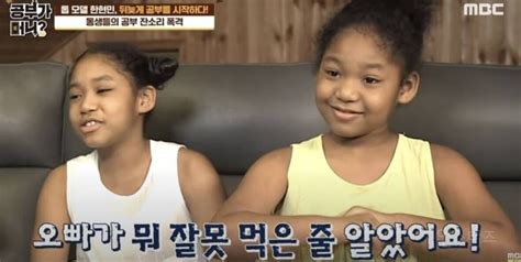 현실 남매 모음  인스티즈 Instiz 이슈 카테고리