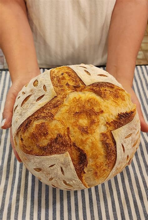 Sourdough Bread Physics Zone