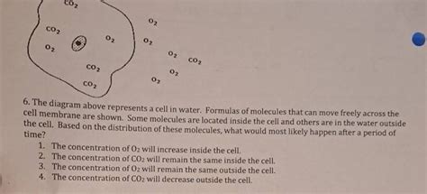 6 The Diagram Above Represents A Cell In Water Formulas Of Molecules Th