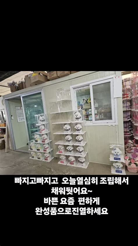 Instagram Video By 와이디플라워데코프리져브드꽃다발바구니꽃화병완제품쇼핑백 • May 4 2025 At 156 Am