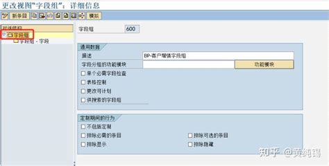 Sap之bp屏幕增强 知乎