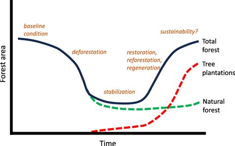 Idealized U Shaped Forest Transition Curve Mather 1992 Rudel Et Al Download Scientific