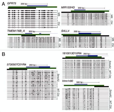 Bisulfite Sequence Analysis Of Loci Identified By Reduced Download