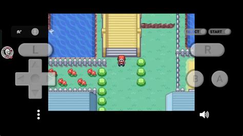 Pokémon Rojo Fuego Youtube