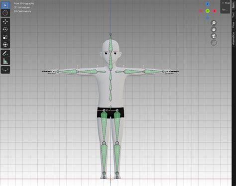 Rigging Features Decentraland Documentation
