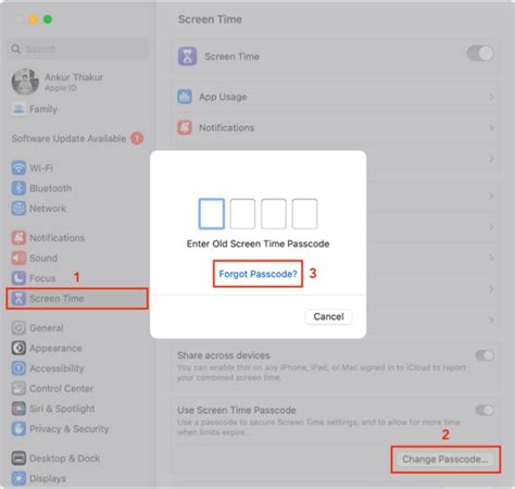 How To Bypass Forgotten Screen Time Passcode On Maciphone