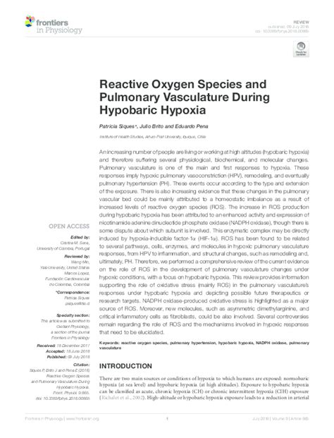Pdf Reactive Oxygen Species And Pulmonary Vasculature During