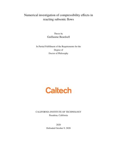 Numerical Investigation Of Compressibility Effects In Reacting Subsonic Flows