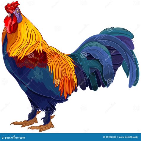 Rooster Stock Vector Illustration Of Bird Male Character 85962308