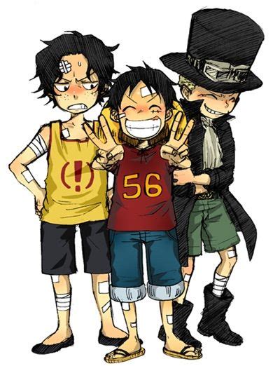 One Piece Wiki امبراطورية الأنمي Amino