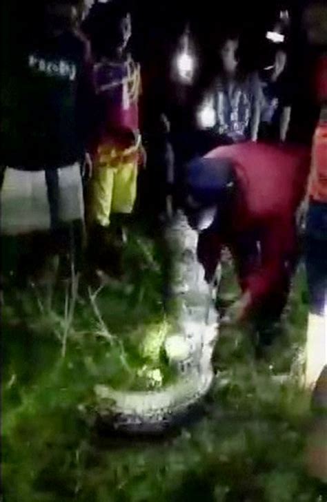 Indonesia Man Swallowed By Python Villagers And Reports Say The Seattle Times