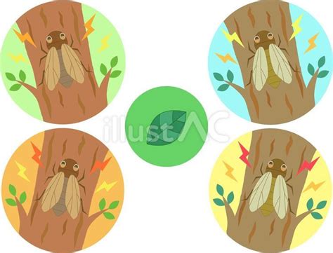 Free Vectors Cicada Icon Set