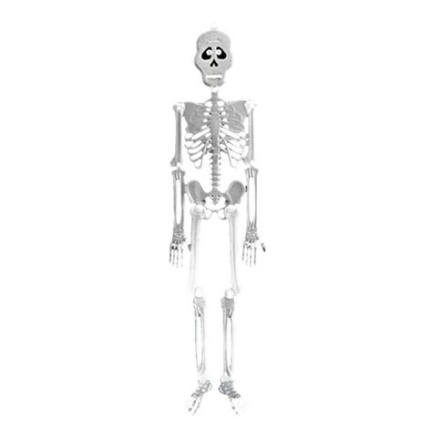 Mini Skeleton