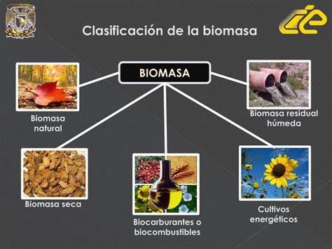 Ppt “biomasa Y Biocombustibles” Powerpoint Presentation Free