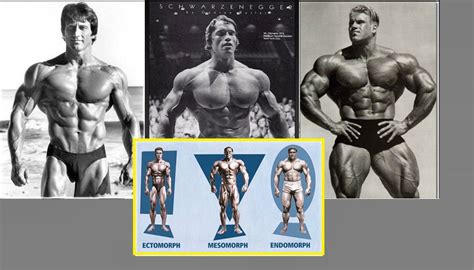 Somatotipi Ad Ognuno La Sua Dieta Bodybuilding