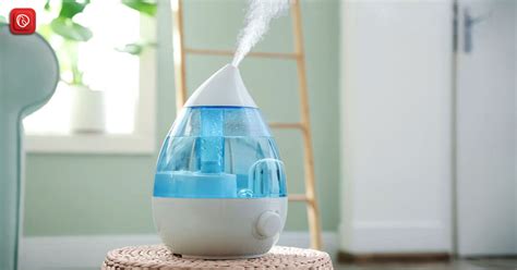 Humidifier Types In Pakistan Benefits Prices And More
