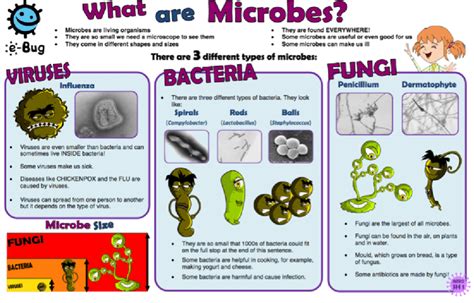 Page Image From E Bug Teaching Pack E Bugeu Download