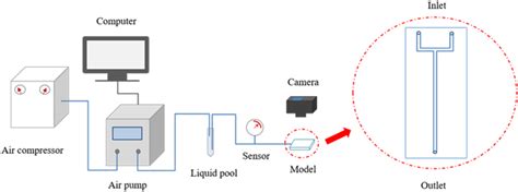 Flowchart Of Rupture Experiments Download Scientific Diagram
