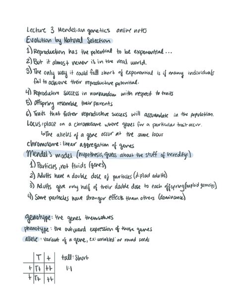 Lecture 3 Mendelian Genetics Cocimamtaiiiaiieidmad Sex Cells Gametes Could Be Formed