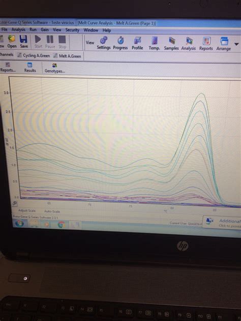 Melting Curves Experts Researchgate