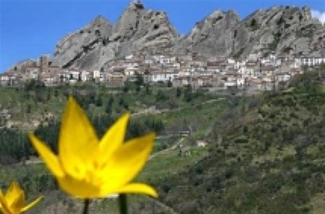 Morta nel Potentino nonna più vecchia d Europa aveva più di 113 anni
