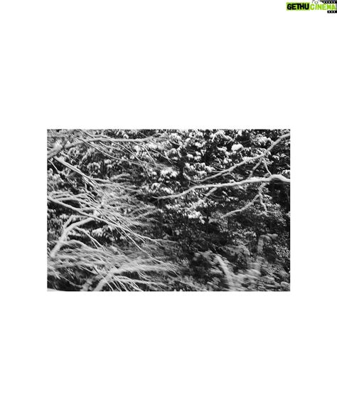 Actress Allison Lin Hd Instagram Photos And Wallpapers February 2024 Gethu Cinema